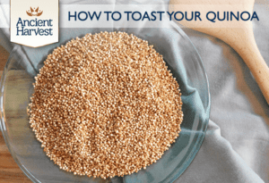 How to Properly Toast Quinoa - Ancient Harvest